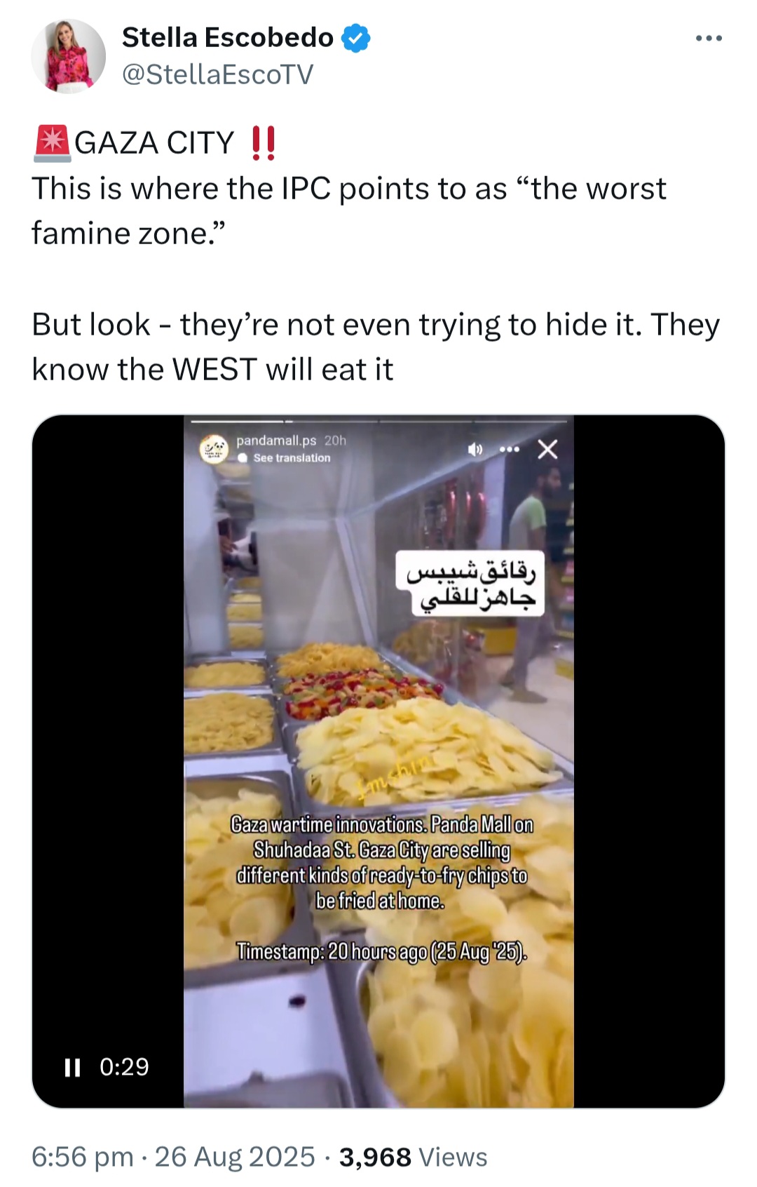 Stella Inger Escobedo - Complicit in Apartheid | Reverse Canary Mission